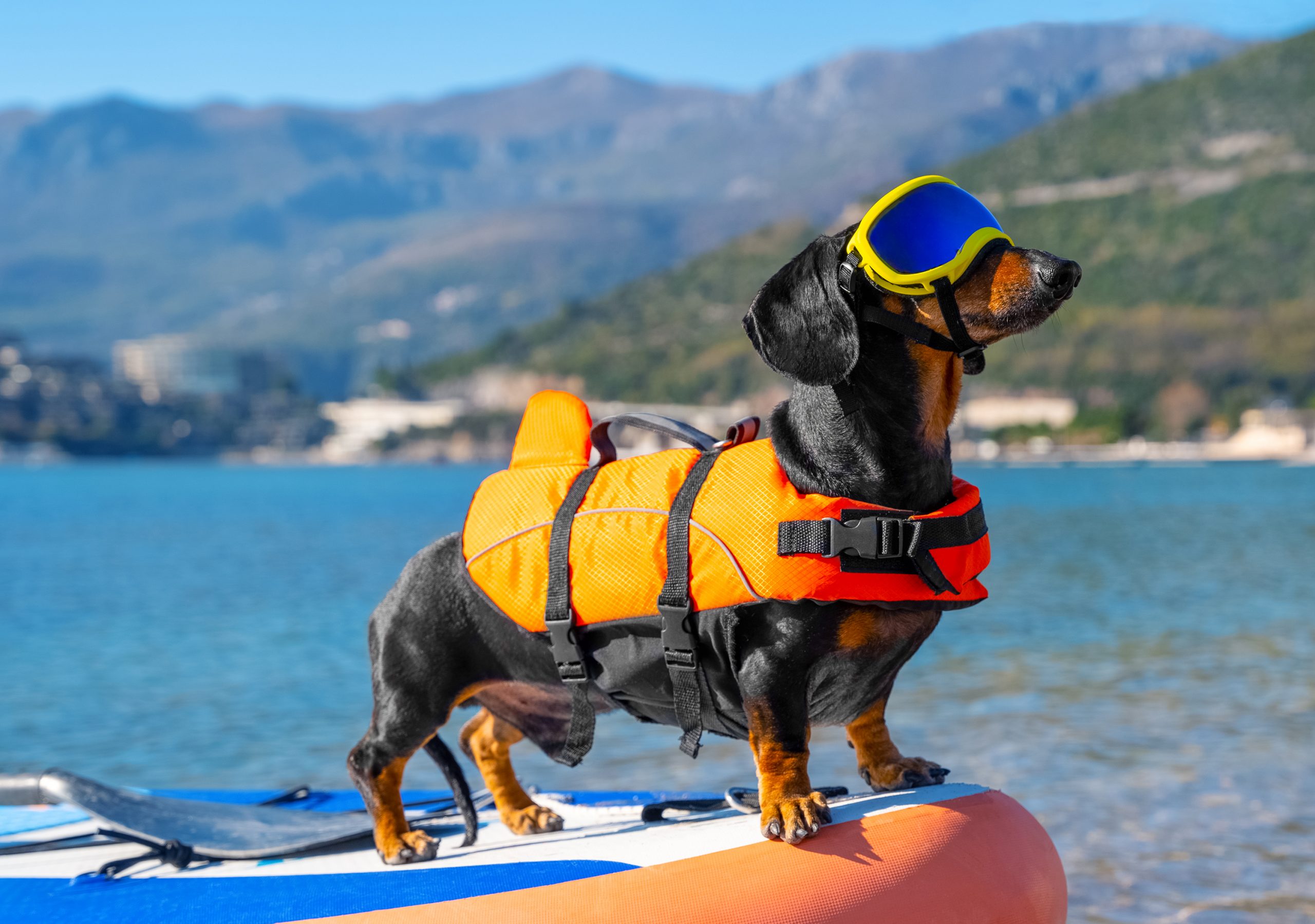 Cloud 10 years on – What a difference a decade makes